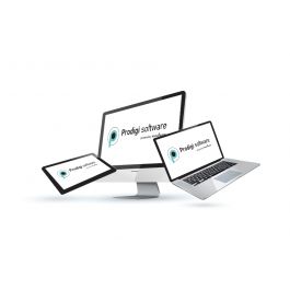 Humanware - Prodigi for Windows: Advanced low vision software - Low ...